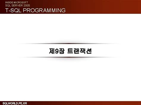 Inside Microsoft Sql Server 2005 Tsql Programming 9