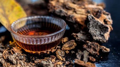 Ayahuasca Cosa Dice La Scienza Sul Tè Degli Sciamani Ok Salute