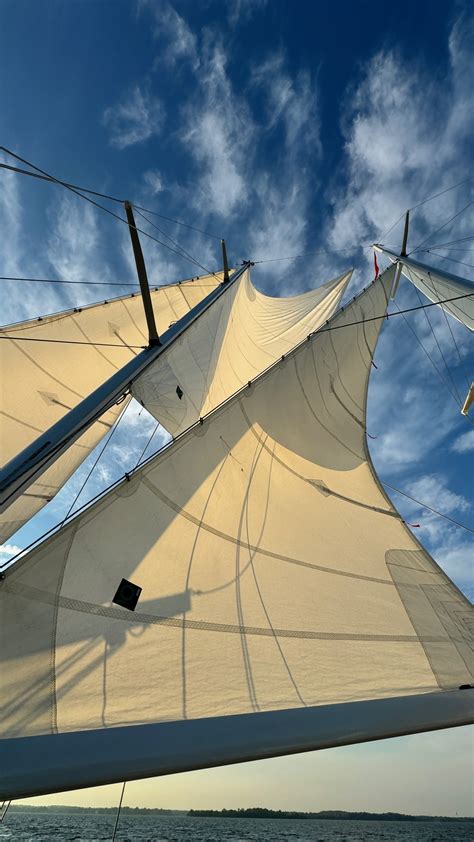 🍦whats The Bobbie 🥪