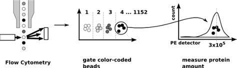 Protein Arrays Antibody Database