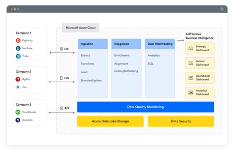 Rapidops Data Driven Platform That Provides Real Time Insights
