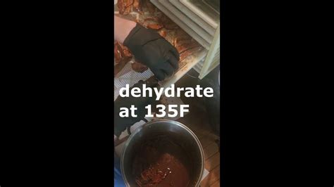 Berkeleys Polypore Mushroom Jerky Youtube