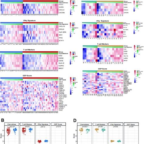 The Effect Of Braf Mutation On Different Immune Related Signaling