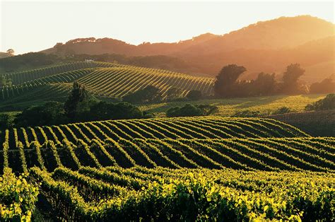 Napa Valley Wallpapers 4k Hd Backgrounds On Wallpaperbat