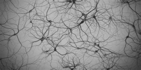 Rhizomatic Learning Transference Triggers An Awakening Tarot Reading