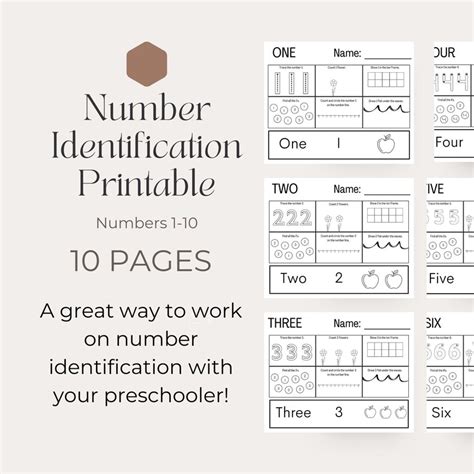 Number Worksheet Printable Number Identification Numbers 1 10