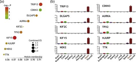 Meta Analysis Of Microarray Datasets Identify Several Chromosome Segregation Related Cancer