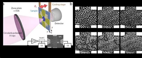 Microscopy Imaging Of Domain Structures Using Scanning Transmission Download Scientific Diagram