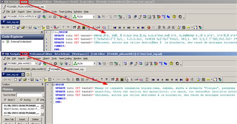 Problem With Special Characters Sql Navigator Toad World® Forums