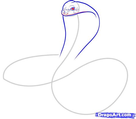 Free Cobra Drawing Download Free Cobra Drawing Png Images Free ClipArts On Clipart Library