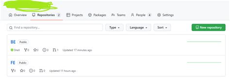 Github Organization