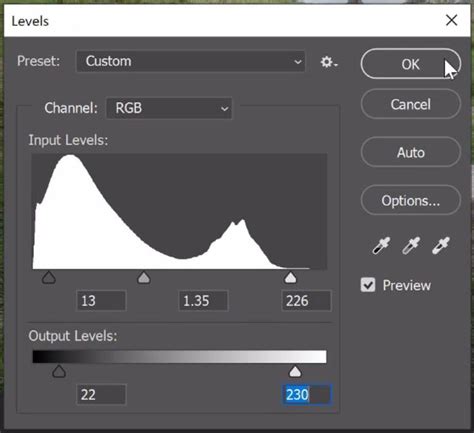 4 Ways To Adjust Levels In Photoshop Shutterevolve Photoshop