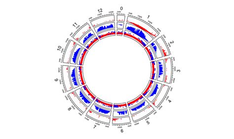Genomic Density Not Circular · Issue 49 · Jokergoocirclize · Github