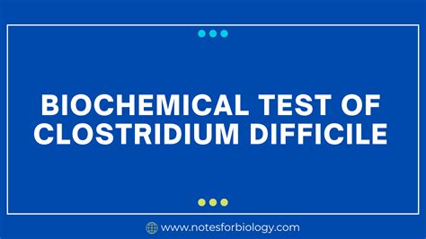 Clostridium Difficile