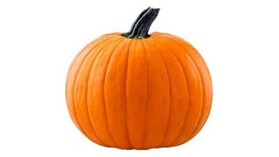 Pumpkin Varieties Types Of Pumpkin And Squash Kikkoman
