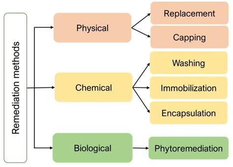Illustration Of The Physical Chemical And Biological Remediation