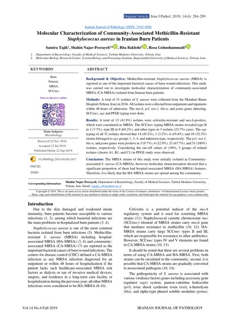 Pdf Molecular Characterization Of Community Associated Methicillin Resistant Staphylococcus