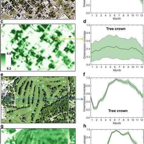 Flowchart For Generating Spatiotemporal Greenspace Data Cube From Download Scientific Diagram