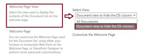 document set welcome page show column only on document set level and