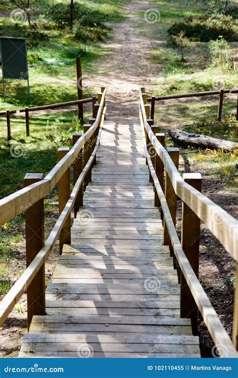 Wooden Boardwalk In Bog Stock Image Image Of Foliage 102110455