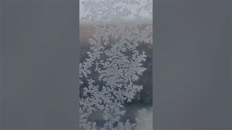 서리 성에둘 다 수증기가 얼은 것 서리는 땅 풀 나무 등에성에는 유리창 냉장고 등에 생긴 것 20221210 전철역 안전문에 핀 성에꽃 Youtube