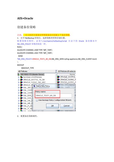 Netbackup备份Oracle策略配置 pdf 墨天轮文档