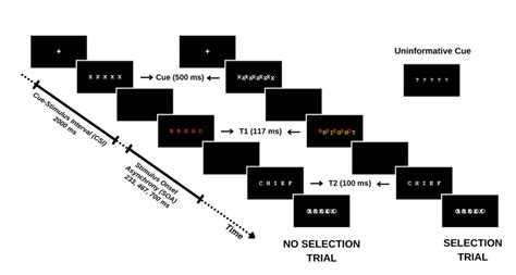 P01 Perception And Attention Lab Real Analysis Of Data In Psychology