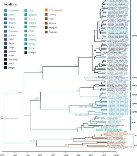 Maximum Clade Credibility Tree With Bayesian Phylogeography