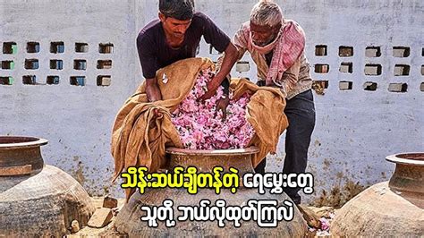 ‌ဒေါ်လာ ၁၀၀ ကျော်တန် ရေမွှေးတွေကို စက်ကိရိယာ အကူအညီမပါပဲ အခုလိုမျိုး ထုတ်လုပ်နေကြတယ် Youtube