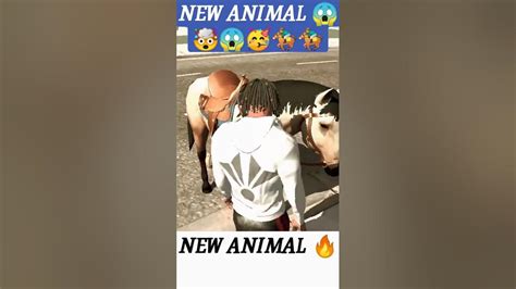 Try This Code 🔥 Lndian Bike Driving 3d Lndian Bike Driving 3d New Cheat Code 🤯 Shorts