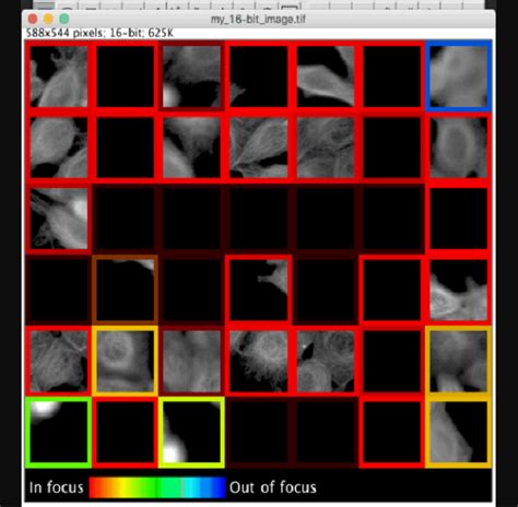 using deep learning to ease scientific image analysis