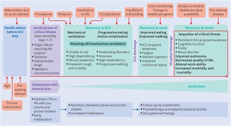 Nutritional Support In The Icu The Bmj