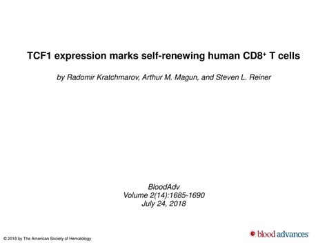 tcf1 expression marks self renewing human cd8 t cells ppt download