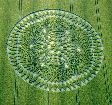 curious take a look crop circles here lies the truth