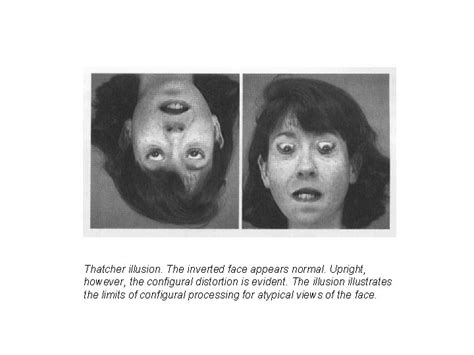Psychological And Neural Perspectives On Human Face Recognition