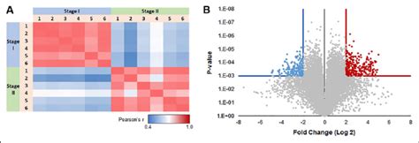 A Correlation Matrix Or Pearsons R For The Transcriptional Profile