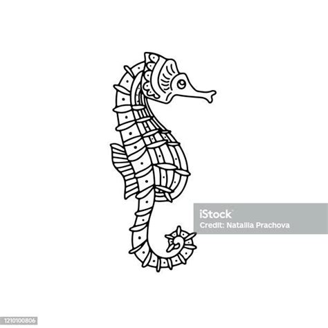 손으로 그린 낙서 장식 검은 벡터 일러스트 해마 흰색 배경에 고립 된 검은색에 대한 스톡 벡터 아트 및 기타 이미지 검은색 그래픽 프린트 그리기 Istock