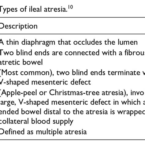 Intraoperative Photograph Showing Type Iiia Jejuno Ileal Atresia Download Scientific Diagram