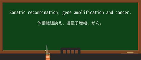 【英単語】gene Amplificationを徹底解説！意味、使い方、例文、読み方 おもしろい英文法