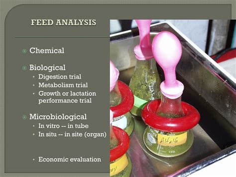 Ppt Feed Analysis Powerpoint Presentation Free Download Id2240236