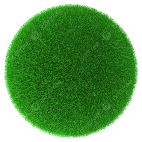 Grassy Ball Object Render Illustration Organic Graphics Png