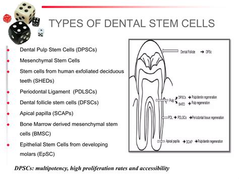 Regenerative Endodontics And Revascularization Pptx