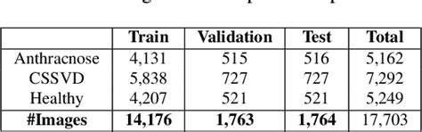 Table 3 From Image Classification For Cssvd Detection In Cacao Plants