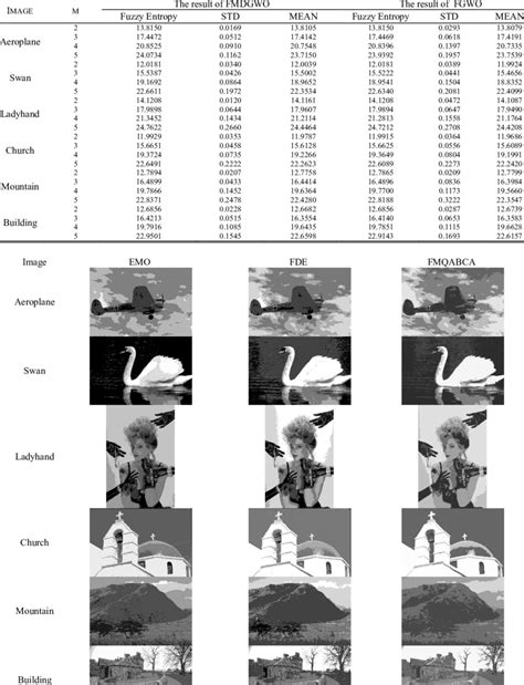 Of Fuzzy Entropy Values Std And Mean Between Fmdgwo And Fuzzy Gwo Fgwo Download Scientific