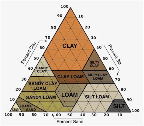 Classification Of Soils How To Determine The Type Of Soil At Site