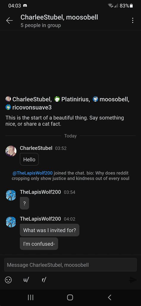 At First I Thought It Was A Tipula And Just Wanted To Take It Outside But When Getting Closer It