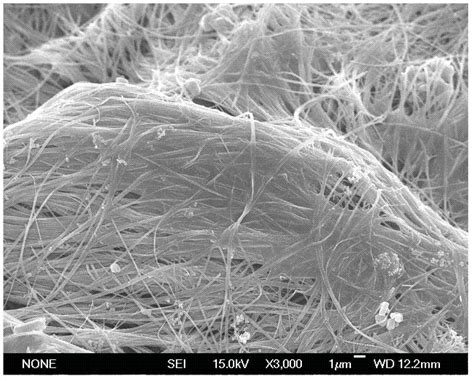 Nano Grade Vanadate Low Temperature Denitration Catalyst And Preparation Method And Application