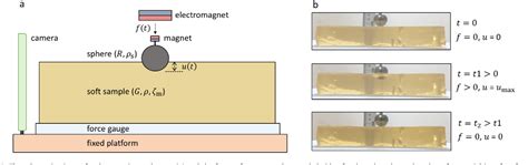 Figure 1 From Identification Of The Viscoelastic Properties Of Soft