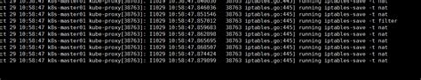 Kubernetes 19版本二进制部署 Kube Proxy组件没成功调iptables添加相关规则 Shooter