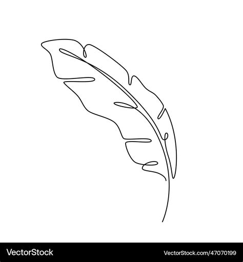 Feather Leaf Line Art Continuous Royalty Free Vector Image
